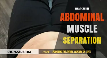 Why Abductor Muscles Tighten: Causes And Relief Strategies Explained ...