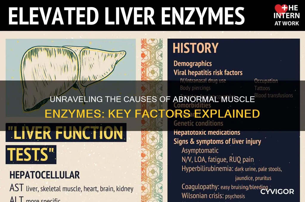 Unraveling The Causes Of Abnormal Muscle Enzymes: Key Factors Explained ...