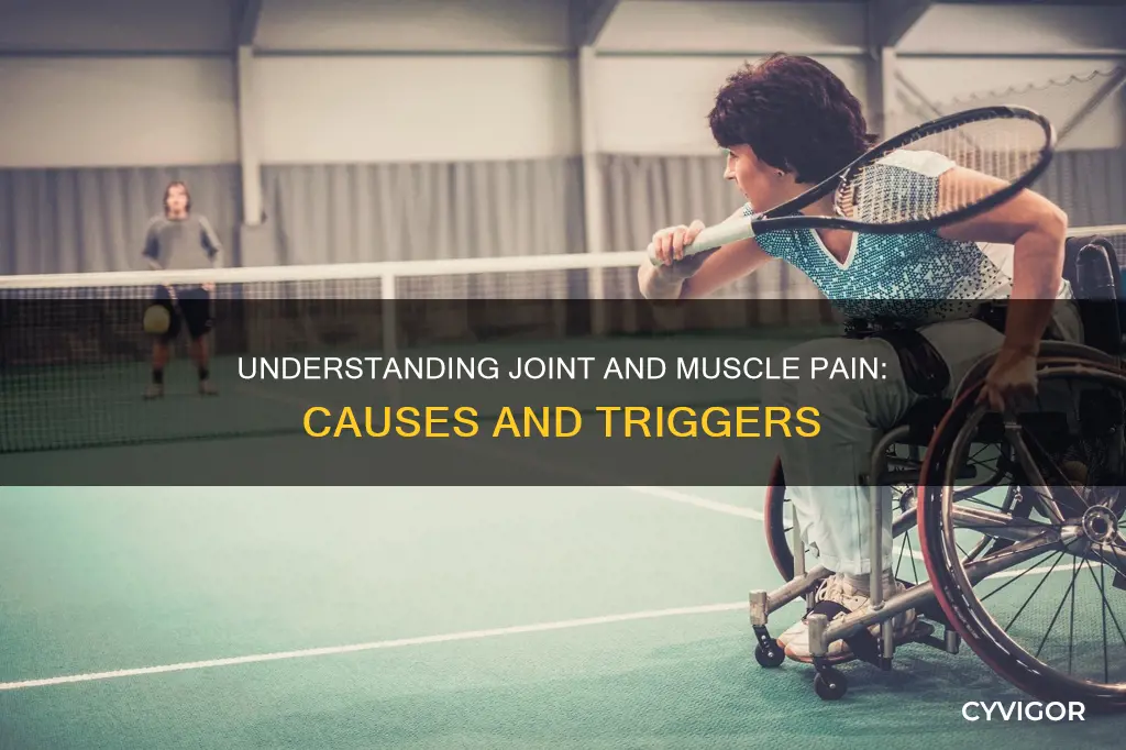 Understanding Joint And Muscle Pain: Causes And Triggers | CyVigor