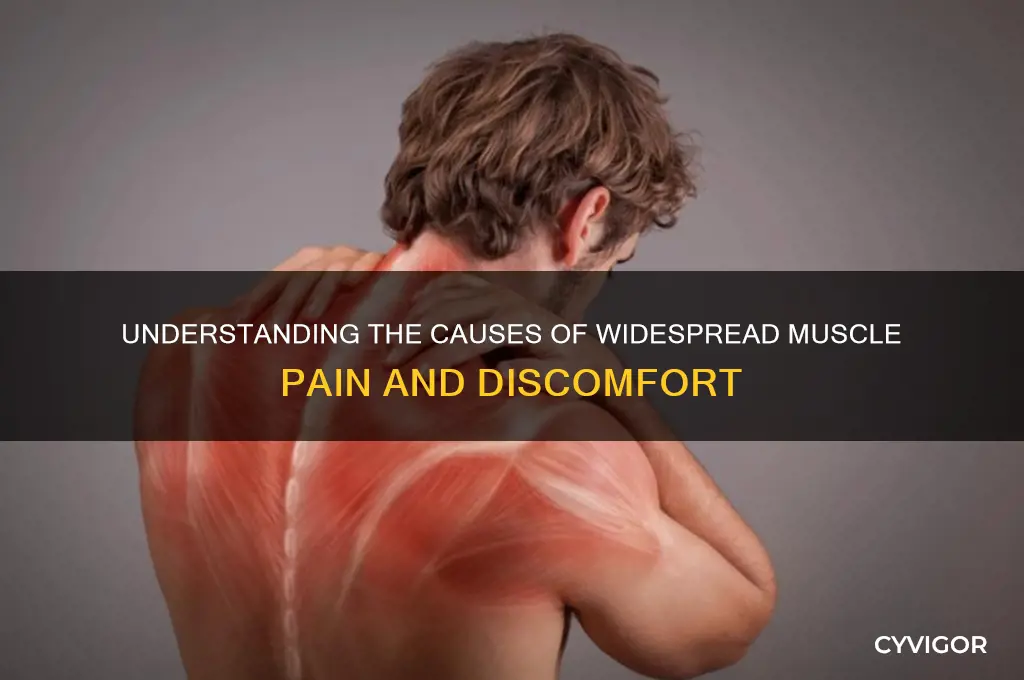 Understanding The Causes Of Widespread Muscle Pain And Discomfort | CyVigor