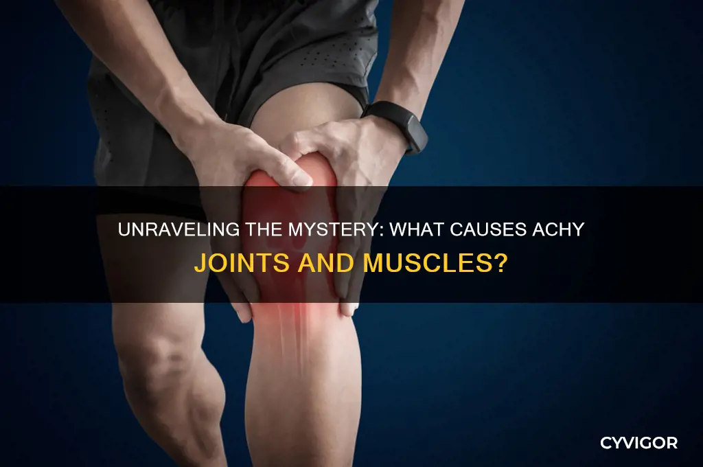 Unraveling The Mystery: What Causes Achy Joints And Muscles? | CyVigor