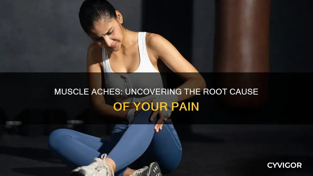 Muscle Aches: Uncovering The Root Cause Of Your Pain | CyVigor