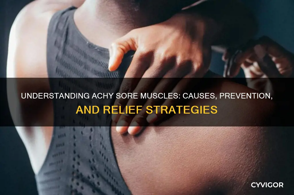Understanding Achy Sore Muscles: Causes, Prevention, And Relief ...