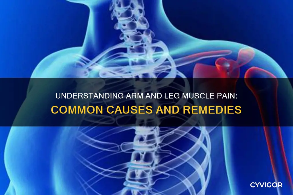 Understanding Arm And Leg Muscle Pain: Common Causes And Remedies | CyVigor