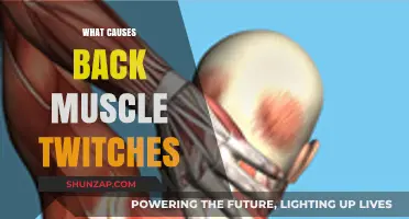Understanding Weak Back Muscles: Causes And Contributing Factors ...