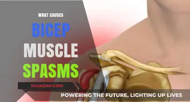 Understanding Back Thigh Muscle Pain: Causes And Relief Strategies ...
