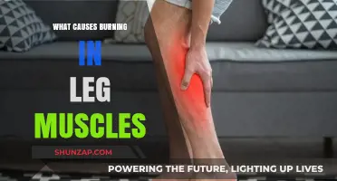 Understanding Calcium Buildup In Muscles: Causes And Prevention Tips ...