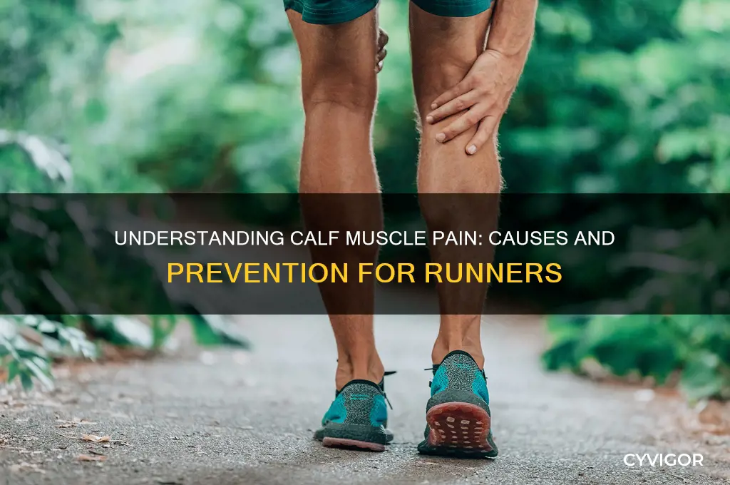 Understanding Calf Muscle Pain: Causes And Prevention For Runners | CyVigor