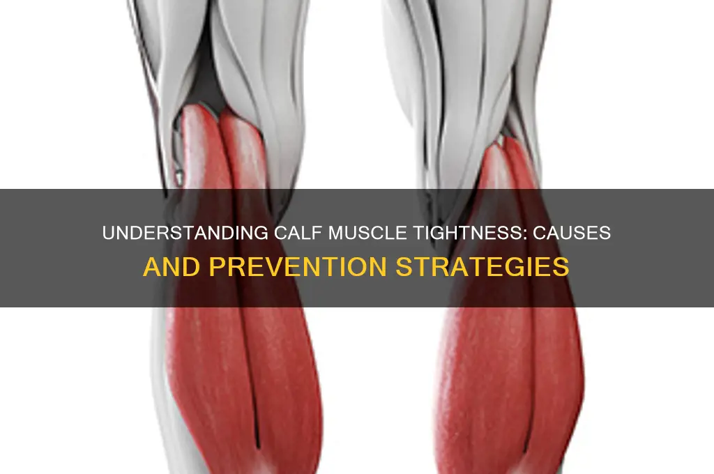 Understanding Calf Muscle Tightness: Causes And Prevention Strategies ...