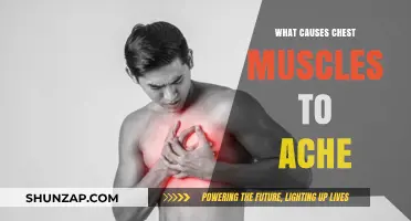Understanding Chest Muscle Twitches: Causes, Triggers, And When To ...