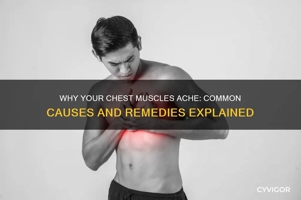 Why Your Chest Muscles Ache: Common Causes And Remedies Explained | CyVigor
