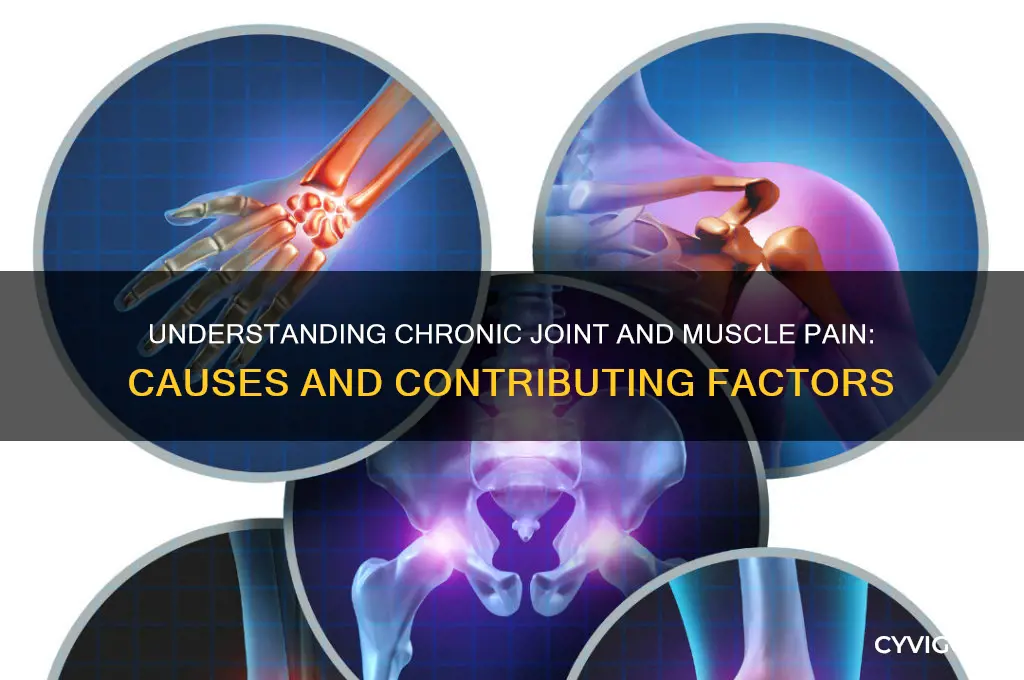 Understanding Chronic Joint And Muscle Pain: Causes And Contributing ...