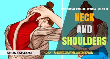 Understanding Persistent Leg Muscle Twitches: Causes And Solutions ...