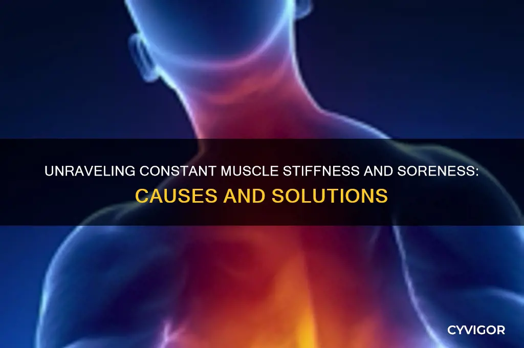 Unraveling Constant Muscle Stiffness And Soreness: Causes And Solutions ...