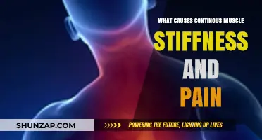 Understanding Continuous Muscle Fasciculations: Causes And Underlying ...
