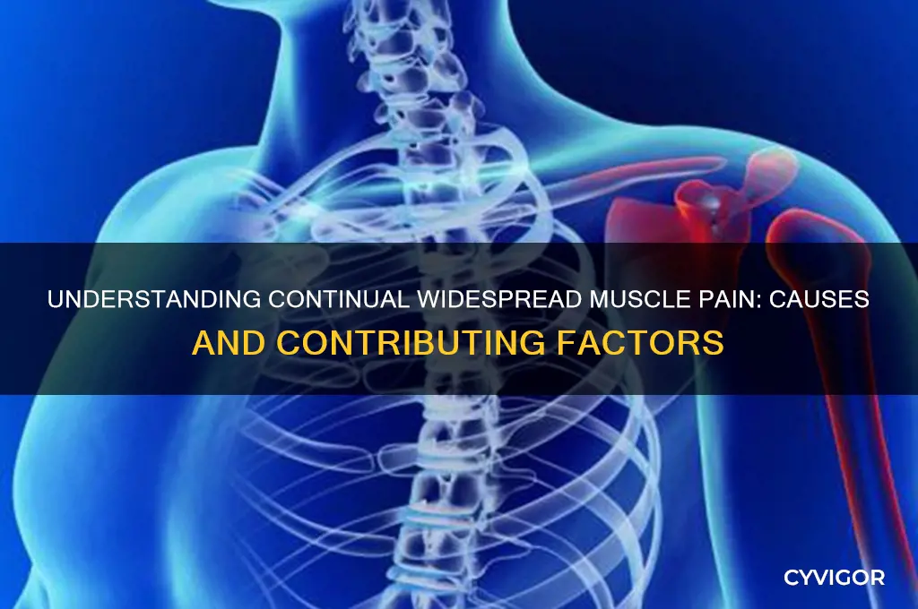 Understanding Continual Widespread Muscle Pain: Causes And Contributing ...
