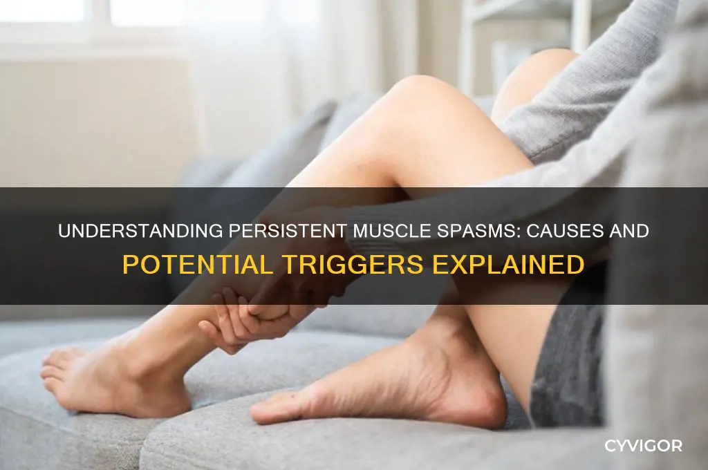 Understanding Persistent Muscle Spasms: Causes And Potential Triggers ...