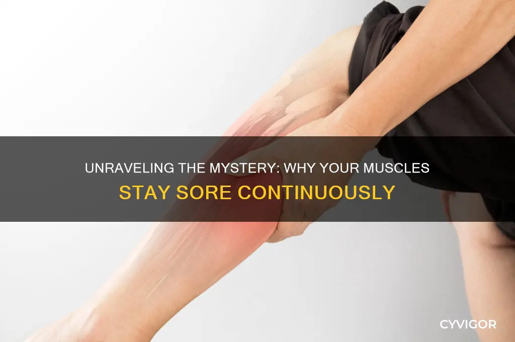 Unraveling The Mystery: Why Your Muscles Stay Sore Continuously | CyVigor