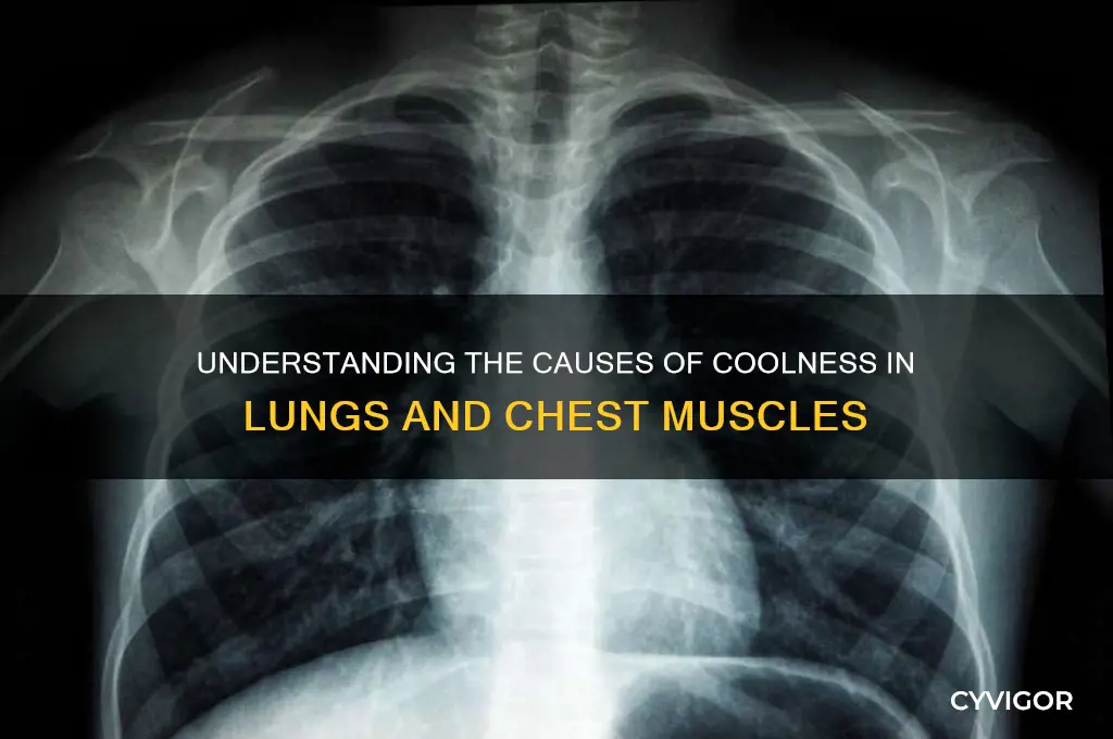 Understanding The Causes Of Coolness In Lungs And Chest Muscles | CyVigor