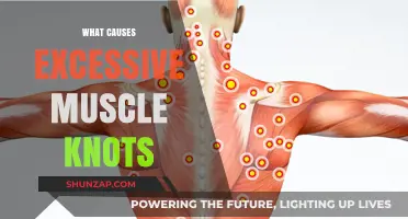 Understanding Muscle Elasticity: Causes And Key Factors Explained | CyVigor