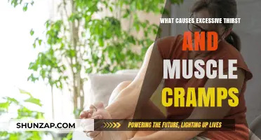 Understanding Muscle Elasticity: Causes And Key Factors Explained | CyVigor