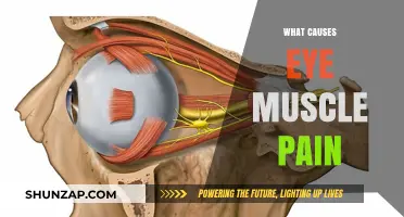 Understanding Facial Muscle Weakness: Causes, Symptoms, And Treatment ...