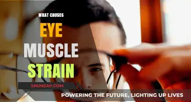 Understanding Facial Muscle Tics: Causes, Triggers, And Underlying ...