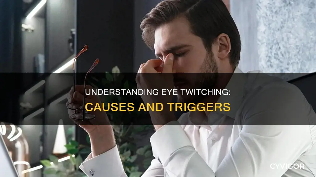 Understanding Eye Twitching: Causes And Triggers | CyVigor