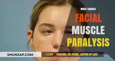 Understanding Facial Muscle Stiffness: Causes And Contributing Factors ...