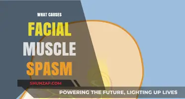 Understanding Eye Muscle Paralysis: Causes, Symptoms, And Treatment ...