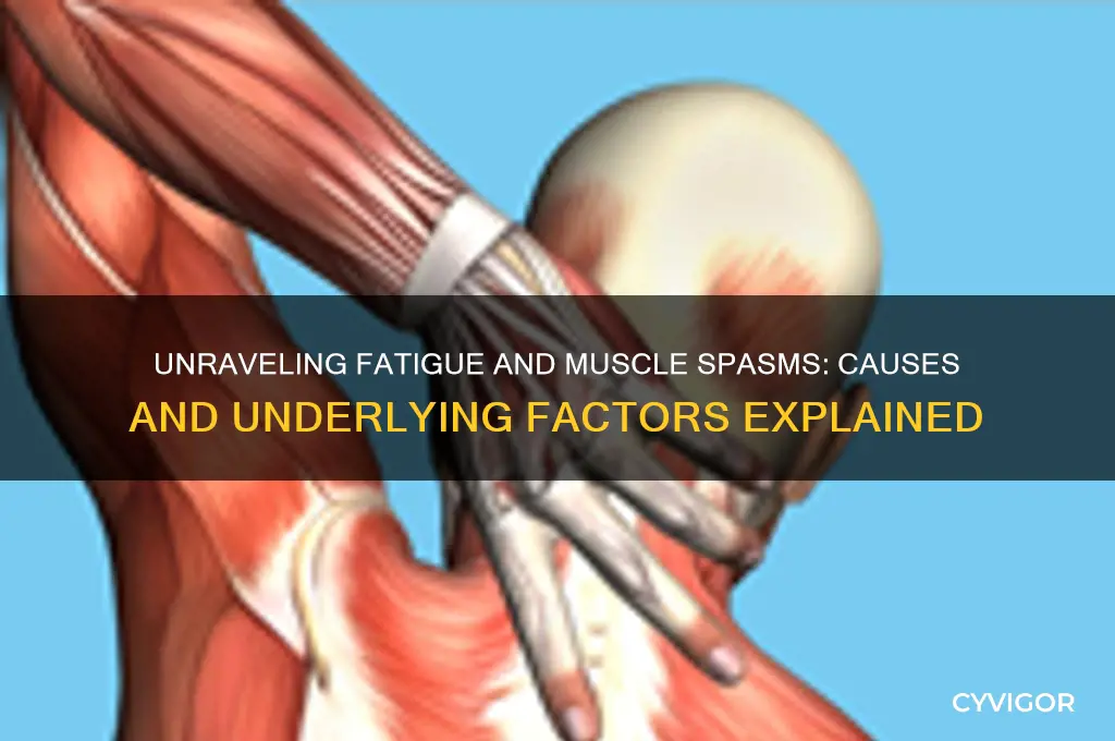 Unraveling Fatigue And Muscle Spasms: Causes And Underlying Factors ...