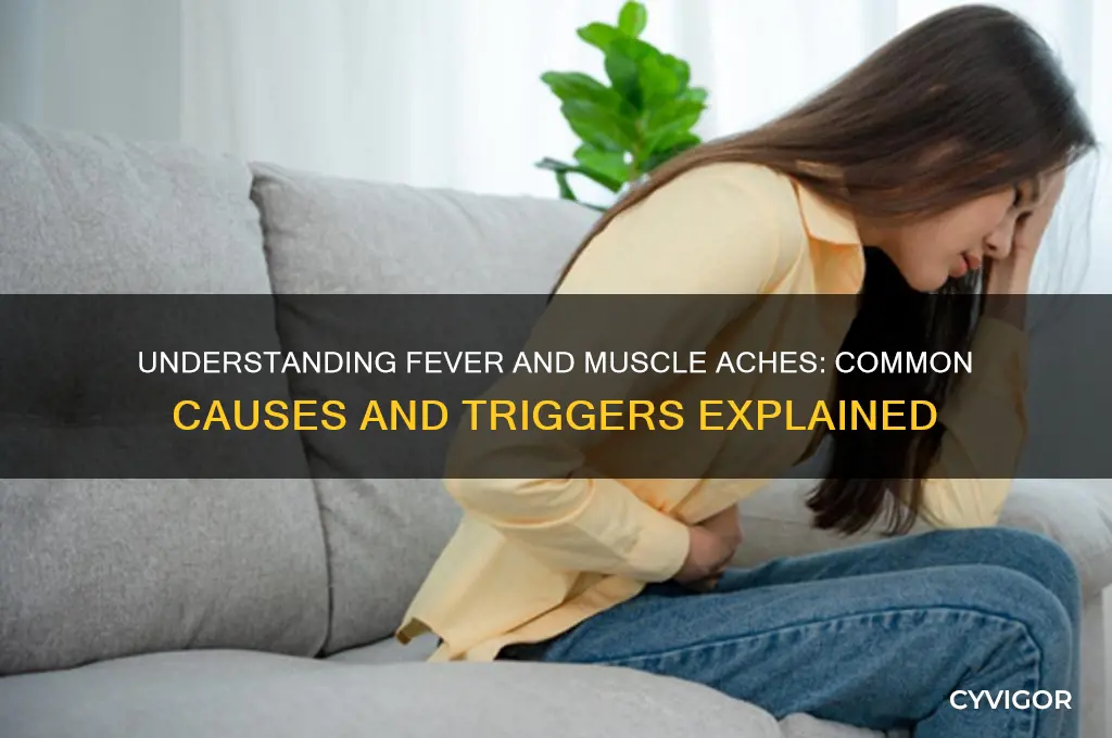 Understanding Fever And Muscle Aches: Common Causes And Triggers ...