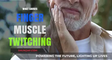 Understanding Foot Muscle Twitching: Causes, Triggers, And Remedies ...