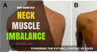 Understanding The Science Behind Fine Muscle Movements: Causes And ...