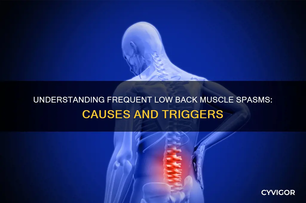 Understanding Frequent Low Back Muscle Spasms: Causes And Triggers ...