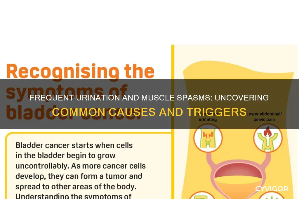 Frequent Urination And Muscle Spasms: Uncovering Common Causes And ...
