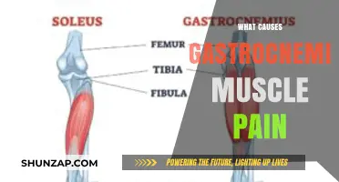 Understanding Generalized Muscle, Joint, And Tendon Pain: Causes ...