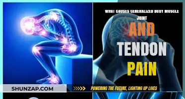 Understanding Gastrocnemius Muscle Pain: Causes And Contributing ...