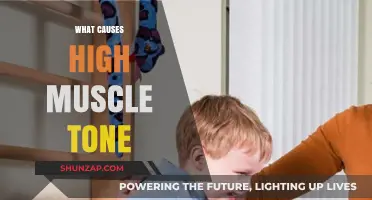 Understanding Hypertonicity: Causes Of Muscle Stiffness And Tightness ...