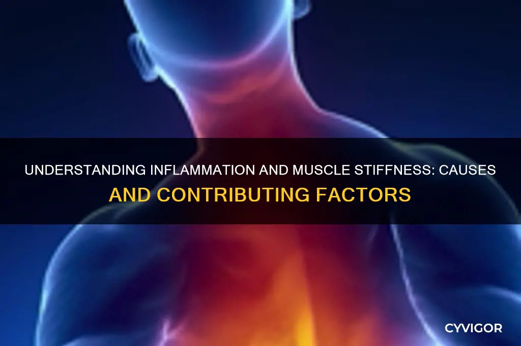 Understanding Inflammation And Muscle Stiffness: Causes And ...