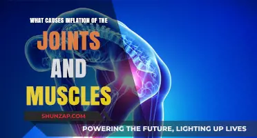 Understanding Inflamed Neck Muscles: Causes, Symptoms, And Relief ...