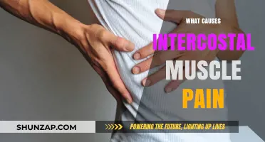 Understanding Inflamed Neck Muscles: Causes, Symptoms, And Relief ...