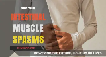 Understanding Involuntary Muscle Twitching During Sleep: Causes And ...
