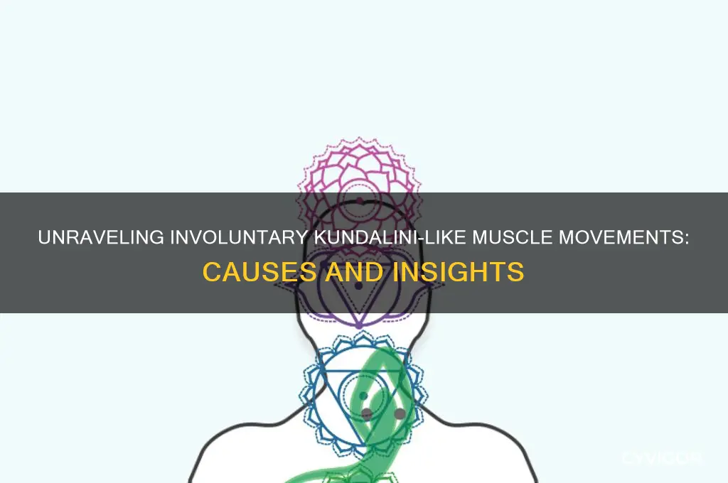 Unraveling Involuntary Kundalini-Like Muscle Movements: Causes And ...
