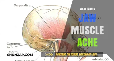 Understanding Involuntary Muscle Twitching During Sleep: Causes And ...