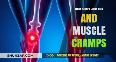 Understanding Lactic Acid Buildup In Leg Muscles: Causes And Prevention ...