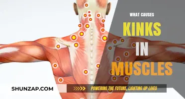 Understanding Arm Pain And Weakness: Causes Of Muscle Strength Loss ...