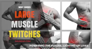 Understanding Left Arm Muscle Spasms: Causes And Triggers Explained ...