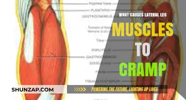Understanding Neck Muscle Knots: Causes And Effective Relief Strategies ...