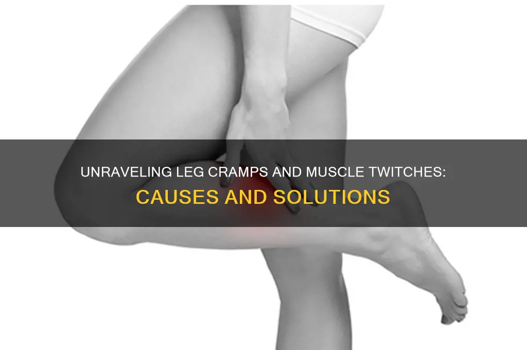 Unraveling Leg Cramps And Muscle Twitches: Causes And Solutions | CyVigor